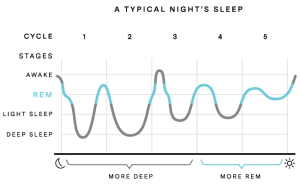 Sleep Cycles | NREM & REM sleep cycles explained Sleep Cycles | NREM & REM sleep cycles explained